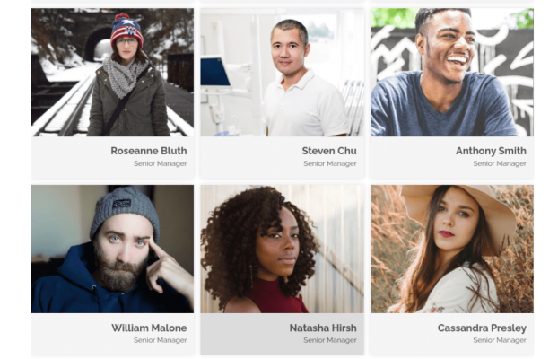 Top 10 Team Showcase WordPress Plugins [2020 Collection]