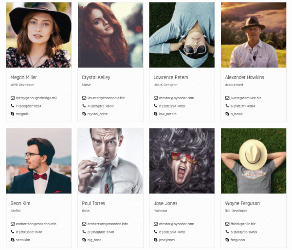 Top 10 Team Showcase WordPress Plugins [2020 Collection]
