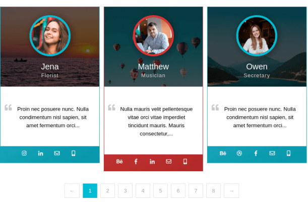 Top 10 Team Showcase WordPress Plugins [2020 Collection]